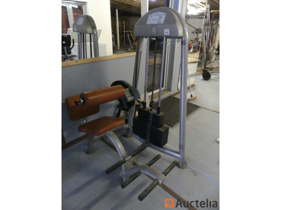 TRUE Torso Flexion stretching machine - Other industries - Leisure Ind ...