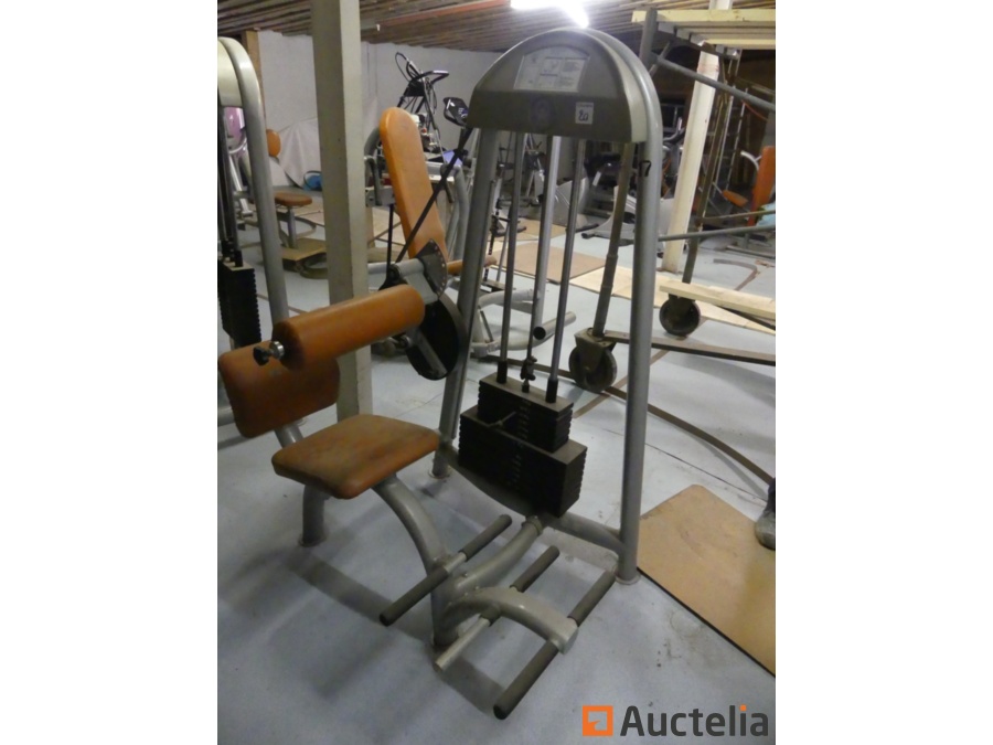 Weight machine for abdo-torso TRUE Torso Flexion - Leisure Industry ...