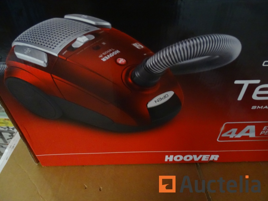 Aspirateur Hoover Telios Plus - auctelia.com
